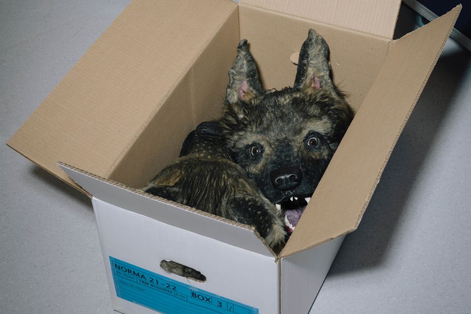 Notre programmation d’opéra | La Monnaie / De Munt