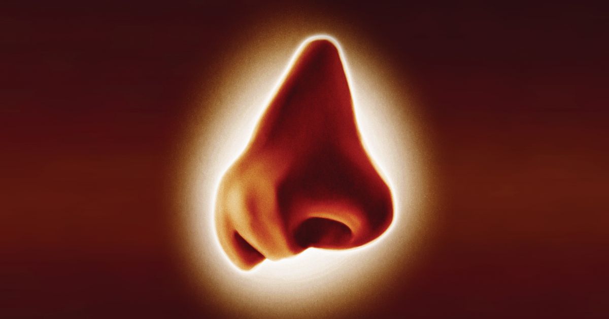 De Neus | Dmitri Sjostakovitsj | De Munt / La Monnaie